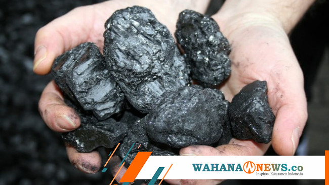 Limbah Batu Bara Diolah Jadi Pupuk, Bisa Hemat Rp 7,4 Miliar/Tahun - Wahana News