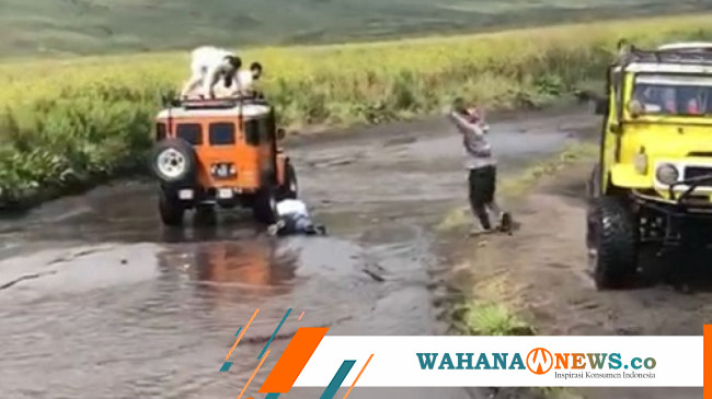 Mobil Jip yang Membawa Wisatawan di Taman Nasional Bromo, Terperosok ke ...