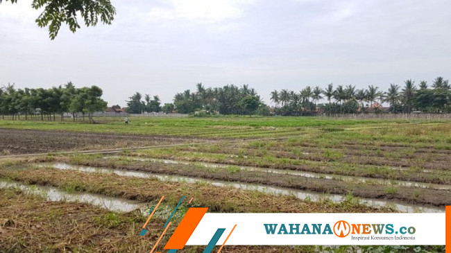 Program D’Komposer: Pupuk Indonesia Perbaiki Kualitas Tanah Pertanian ...