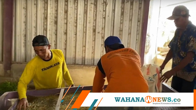SPLU PLN Bikin Hemat Usaha Penggilingan Padi di Pulau Seram - Wahana News