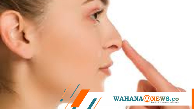Wajib Tahu, Ini Fungsi dan Peran 2 Lubang Hidung Manusia - Wahana News