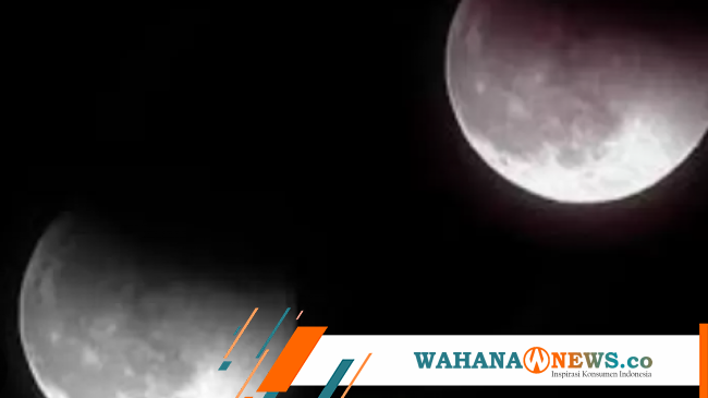 Fenomena 'Bulan Kedua' di Bumi! Asteroid 2024 PT5 Hebohkan Netizen - Wahana News