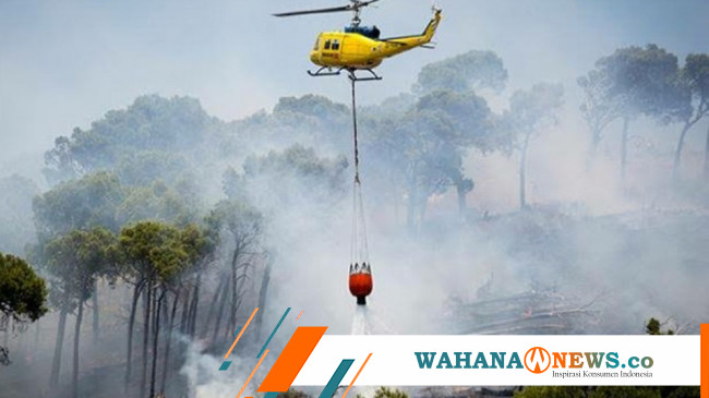 Atasi Karhutla di Perbukitan Riau, Dua Helikopter Lakukan “Water Bombing” - Wahana News