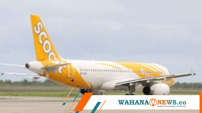 Maskapai Scoot Buka Rute Penerbangan Singapura - Lombok - Wahana News
