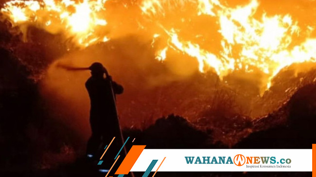 AirNav Umumkan Sejumlah Penerbangan di Soetta Dialihkan Imbas Kebakaran TPA Rawa Kucing - Wahana ...