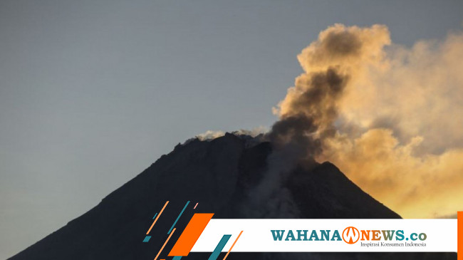 Gempa 30 Kali , Gunung Merapi Luncurkan Guguran Lava hingga 1,8 ...