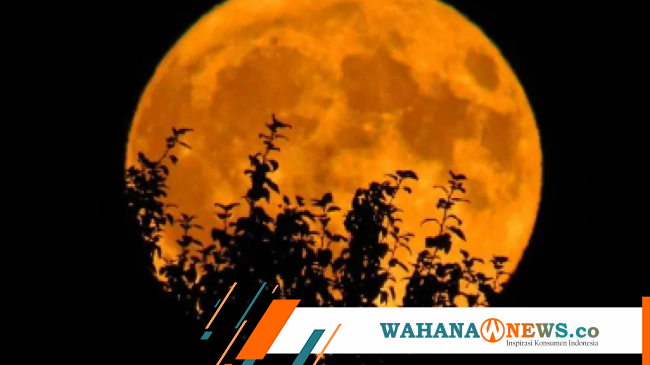 Fenomena Hunter Moon Hadir di Langit Indonesia, Siap-siap Lihat Bulan ...
