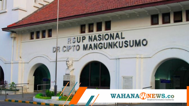 RSCM Tekankan Pentingnya Golden Period 4,5 Jam untuk Selamatkan Pasien ...