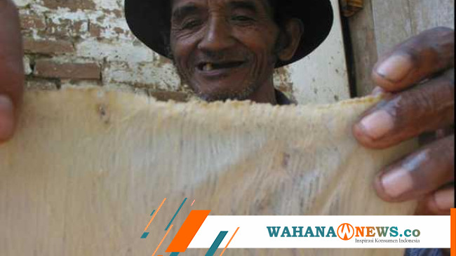 Inilah Daluang, Kertas Tradisional Khas Indonesia - Wahana News