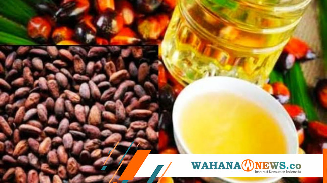 Harga Referensi CPO Naik, Harga Referensi Biji Kakao dan HPE Produk Kehutanan Turun - Wahana News