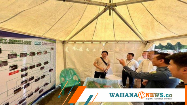 Hari Energi Sedunia, PLN Tunjukkan Nikmatnya Listrik di Sumsel Energi ...