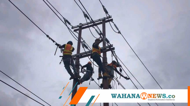 PLN Kembali Lakukan Pemeliharaan Jaringan di Kota Semarang, Berikut ...