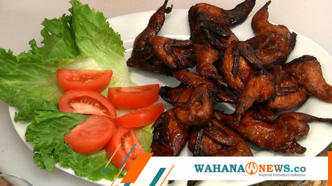 5 Jenis Burung yang Lezat untuk Dikonsumsi, Sudah Tahu? - Wahana News