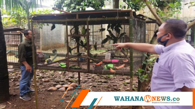 Dit Reskrimsus Polda Lampung Ungkap 3 Perkara Penjualan Satwa ...