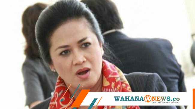 Pengamat Militer Desak Panglima TNI Cabut Pangkat Letkol Tituler Deddy ...